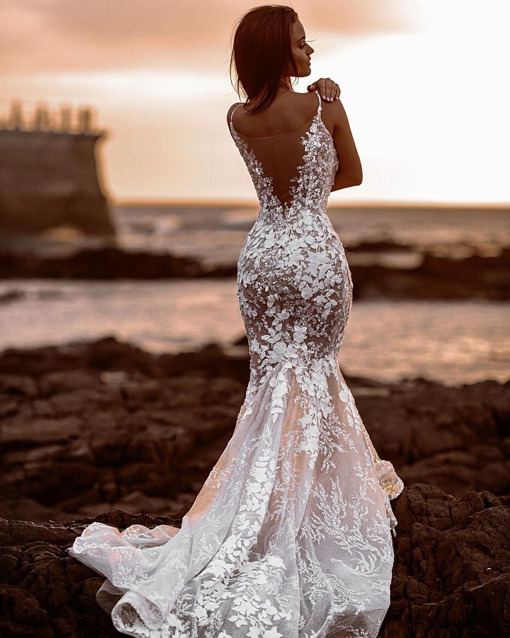 Dehandre Van Tonder picture