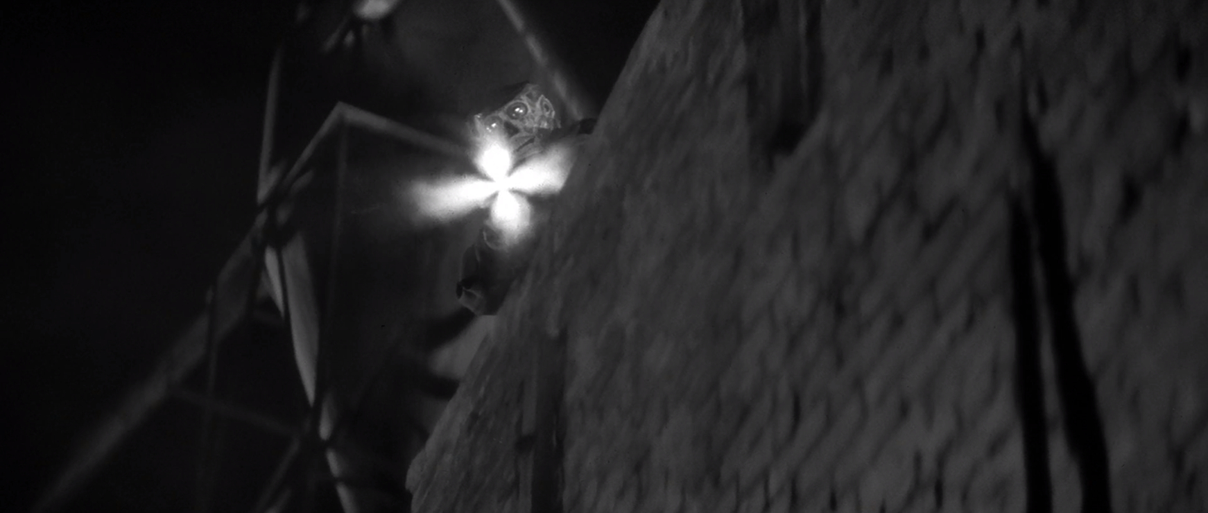 Picture of They Live