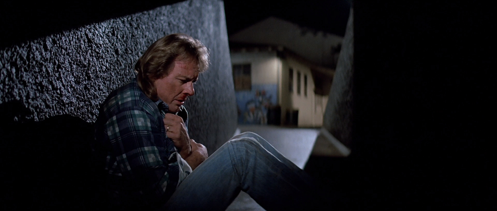 Picture of They Live