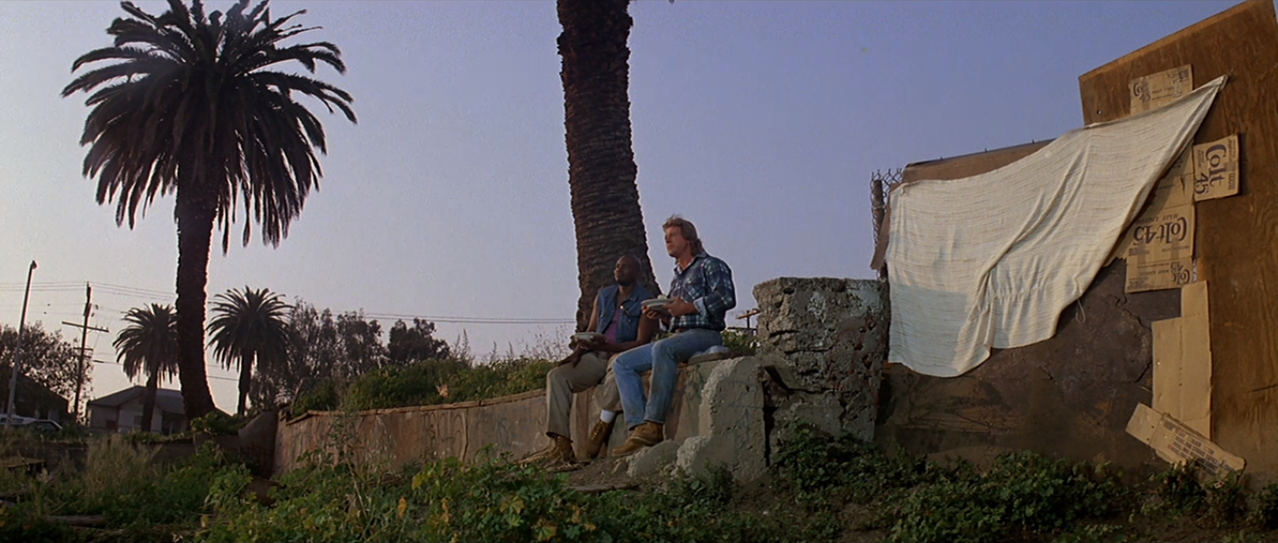 Image of They Live