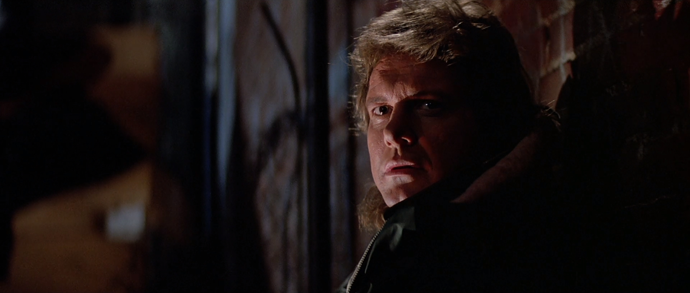 Picture of They Live