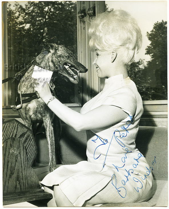 Picture of Barbara Windsor