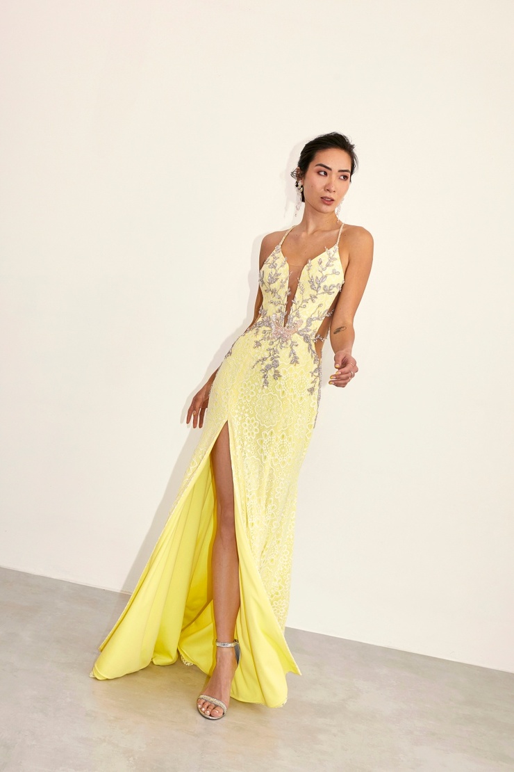 Picture of Maple Sam