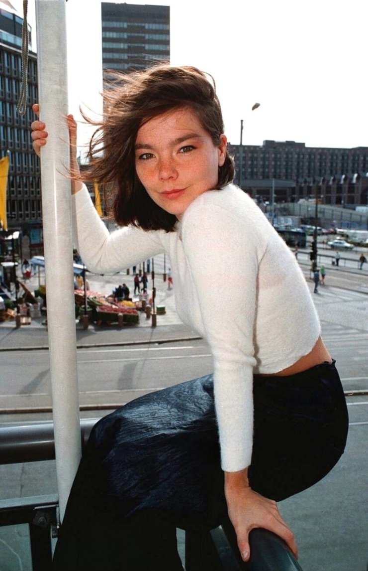 Picture of Björk