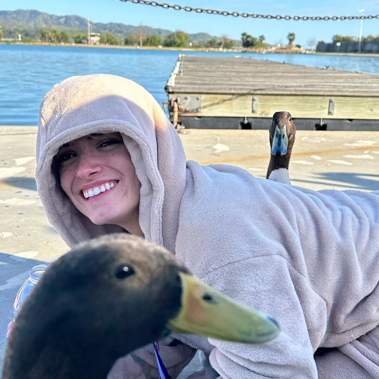 Picture of Dixie D'Amelio