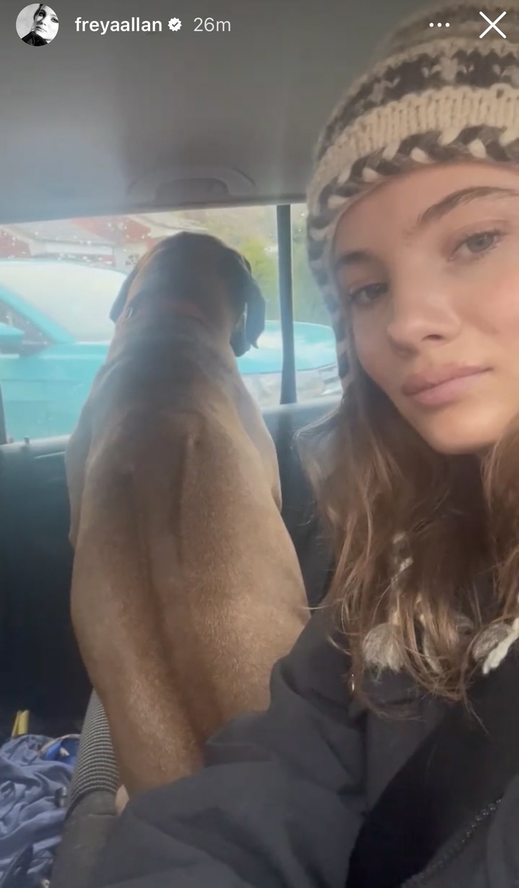 Picture of Freya Allan