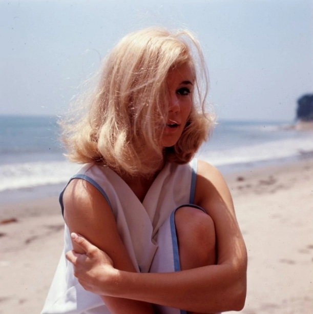 Picture of Yvette Mimieux