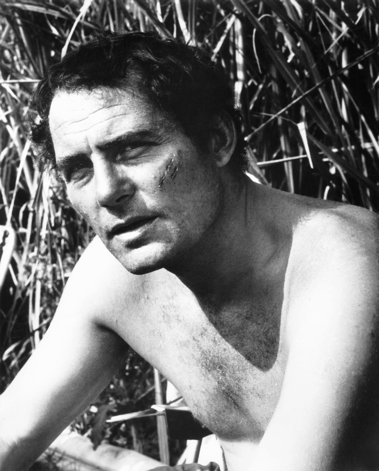 Robert Shaw image