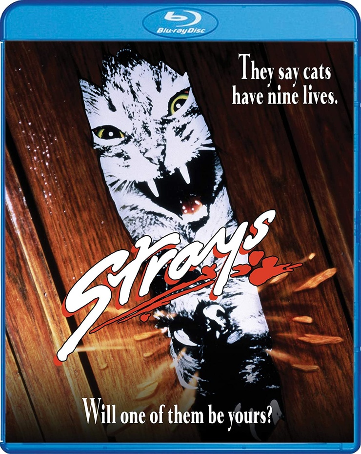 Picture of Strays (1991)
