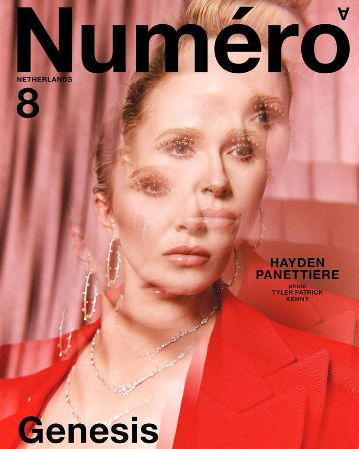 Hayden Panettiere image