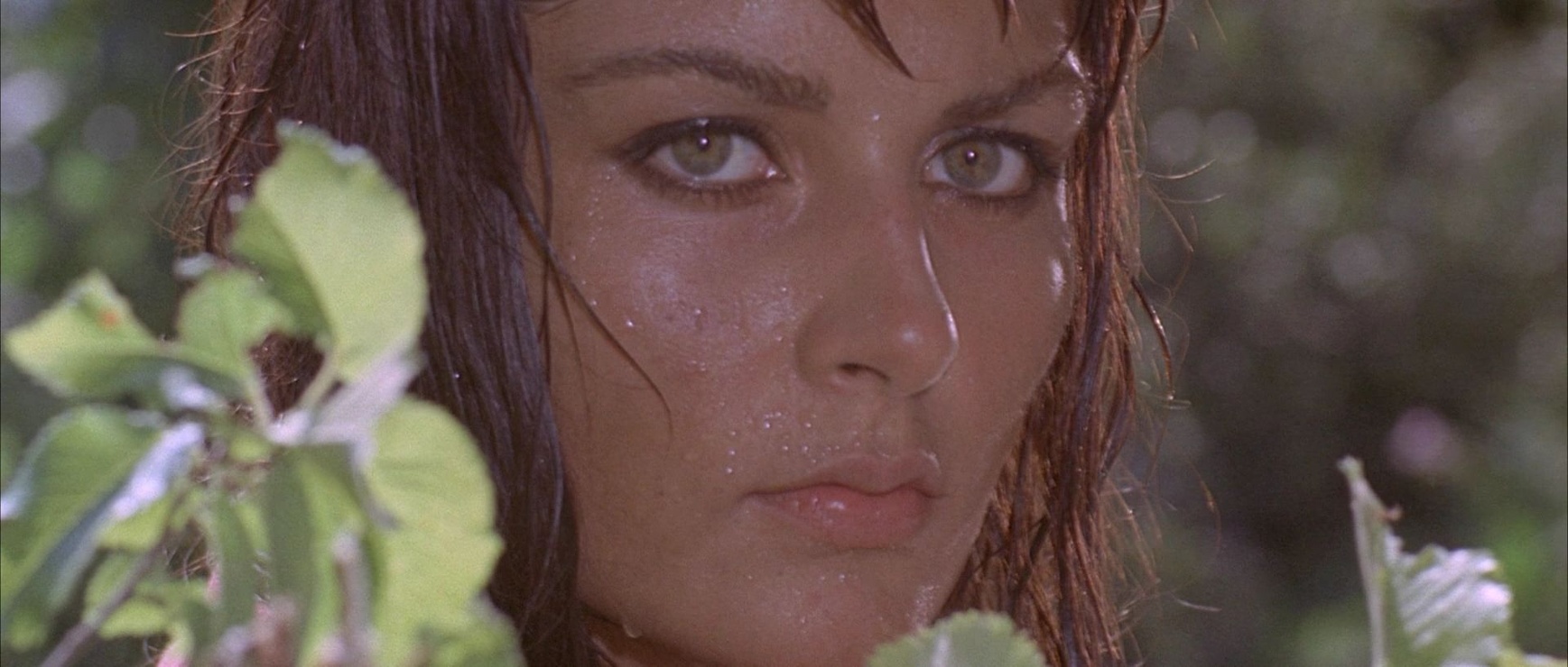 Picture of Jolanda Modio