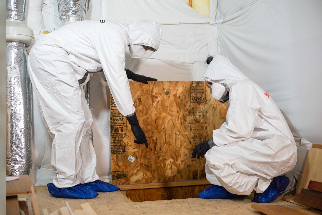 cleaning & sanitation