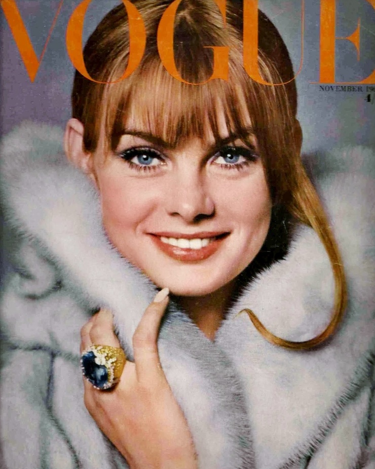 Picture of Jean Shrimpton