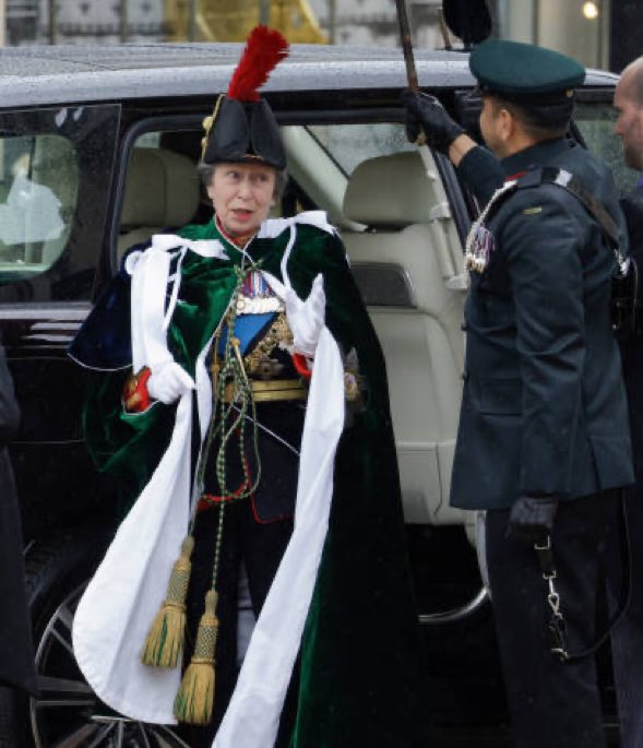 Princess Anne picture