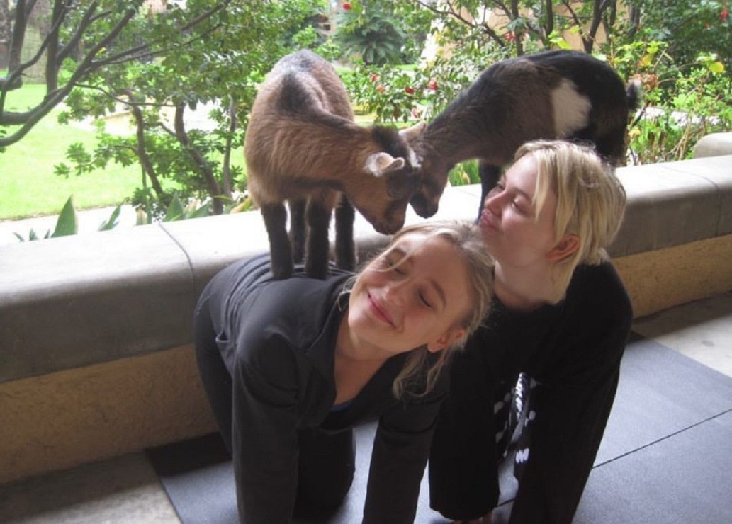 Picture of Alyvia Alyn Lind