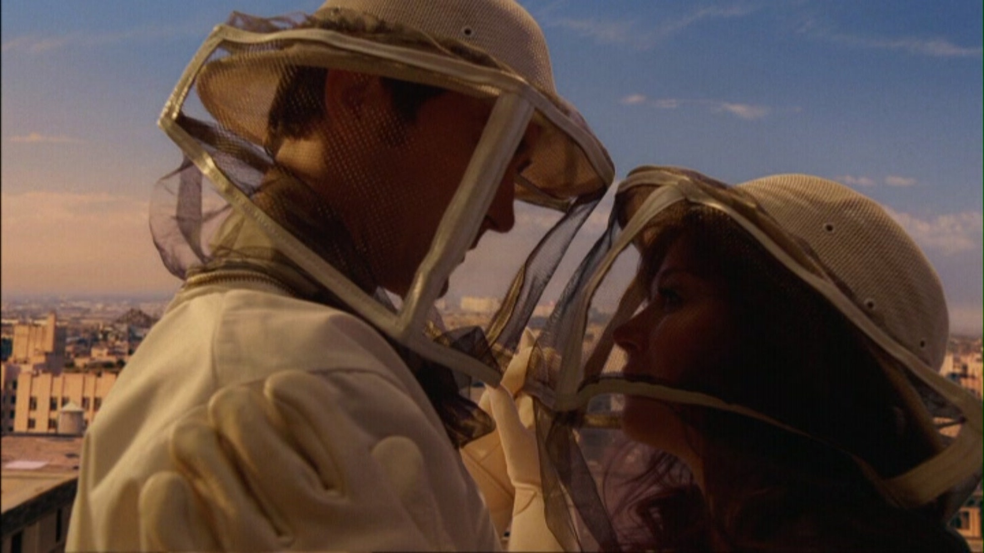 Picture of Pushing Daisies