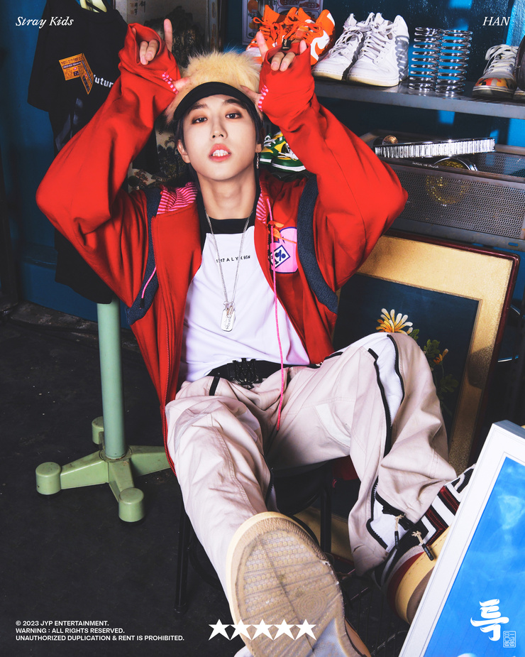 Picture of Ji-sung Han