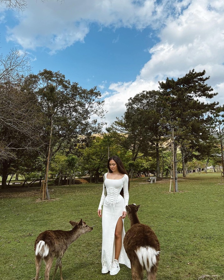 Nicoleta Bezer image