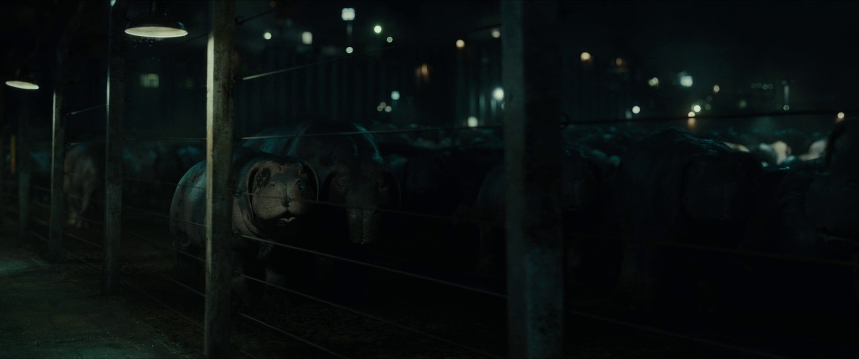 Okja picture