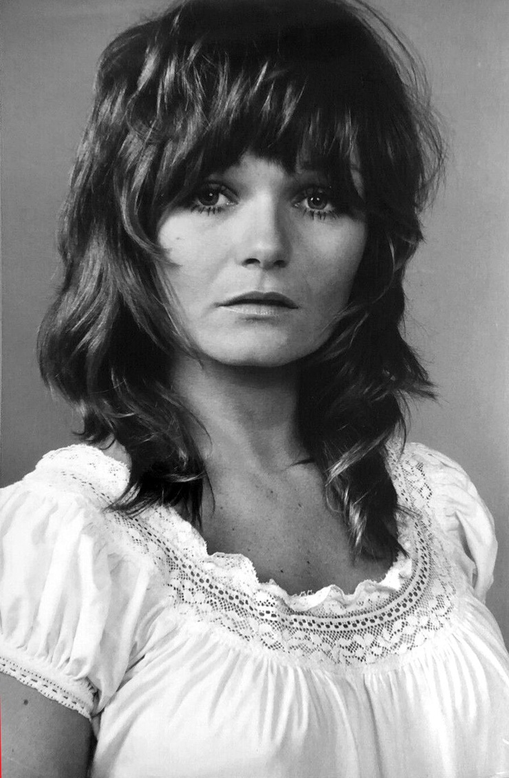 Picture of Valerie Perrine