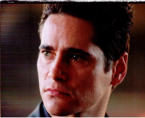 Seth Peterson picture