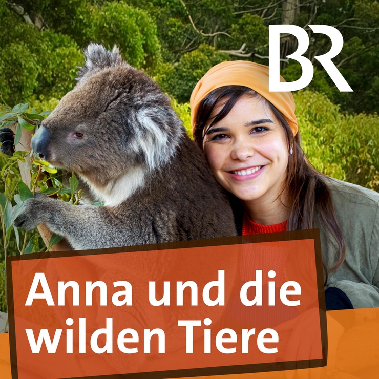 Picture of Anna und die wilden Tiere