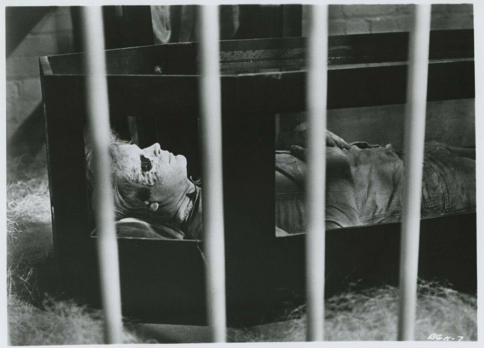 Blood of Ghastly Horror (1971)