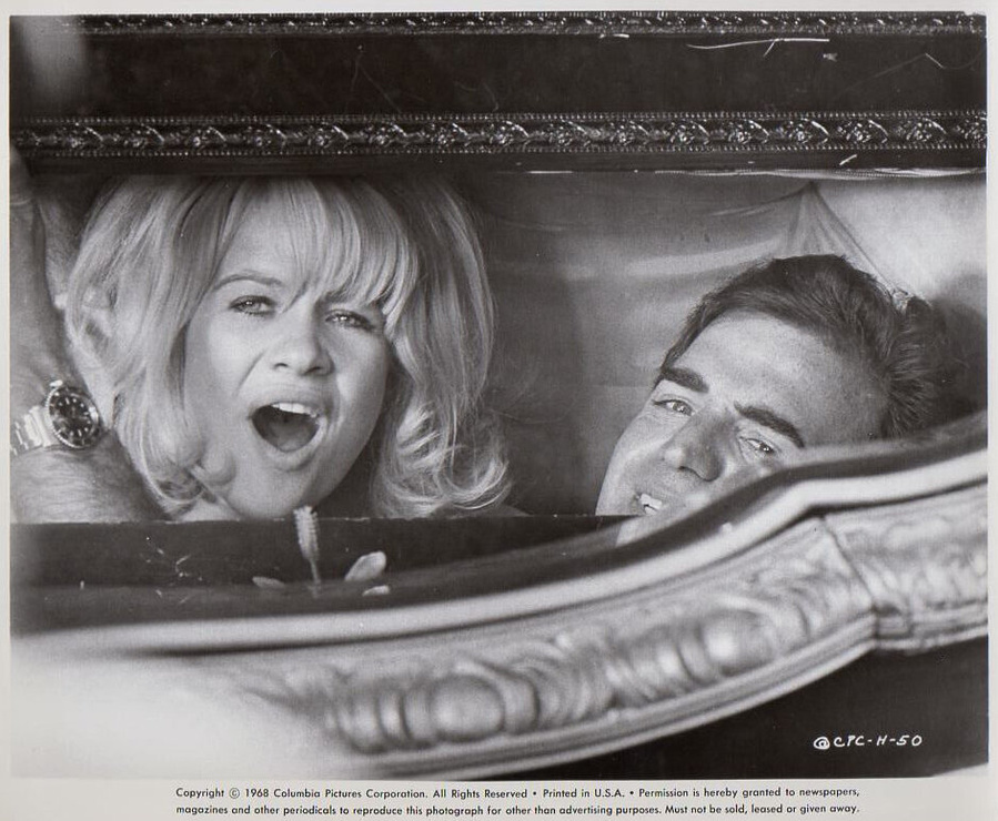 Picture of Hammerhead