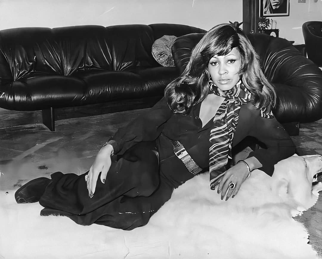Tina Turner Picture