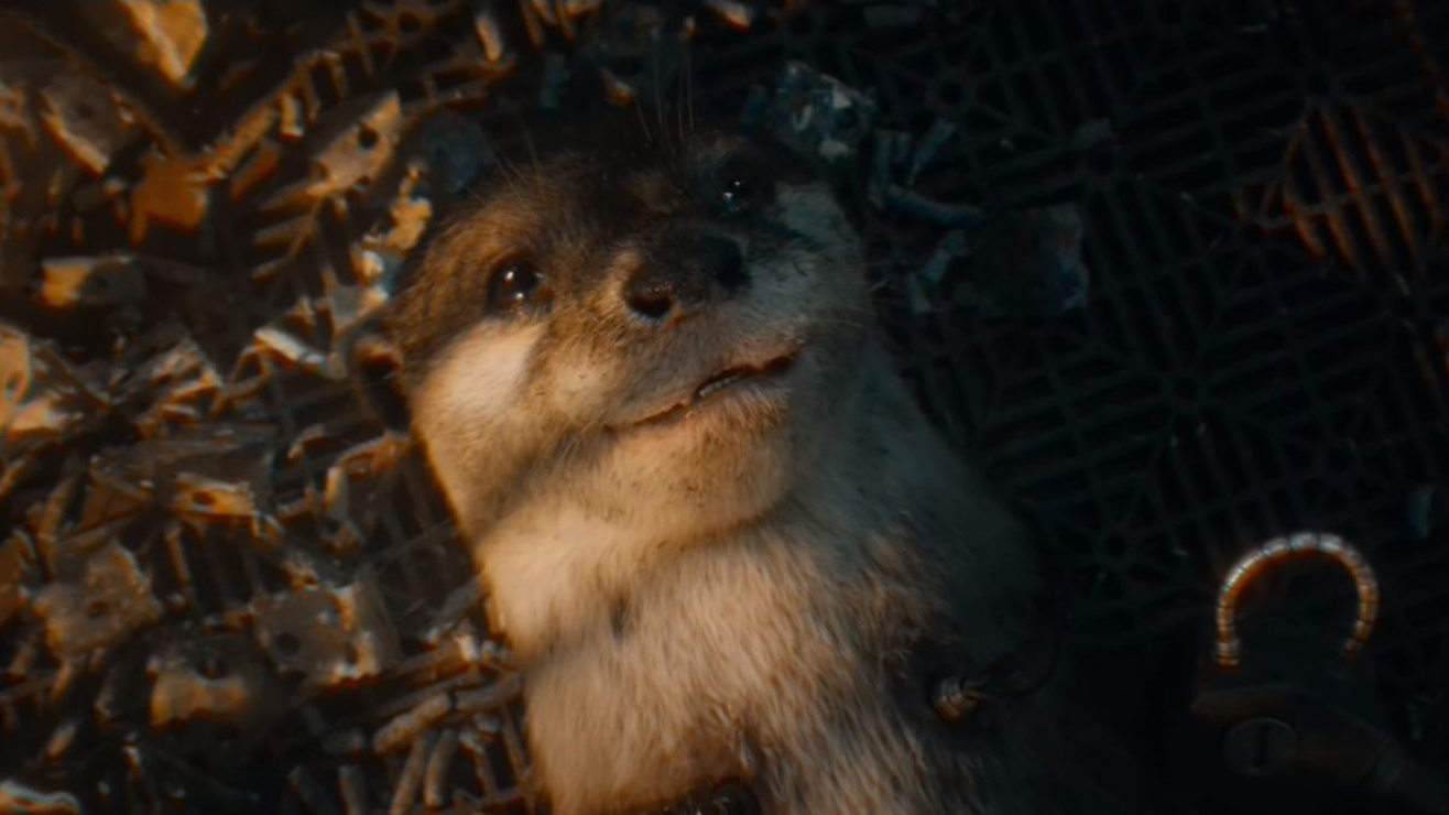 Picture of Lylla (Linda Cardellini)