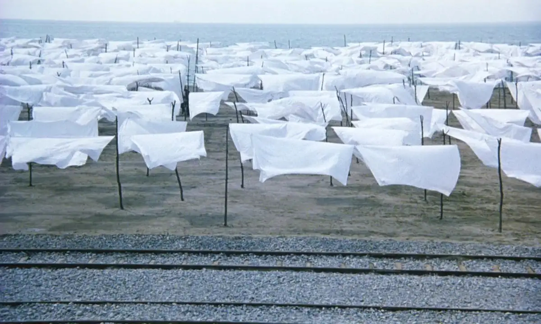 Picture of The Weeping Meadow (2004)