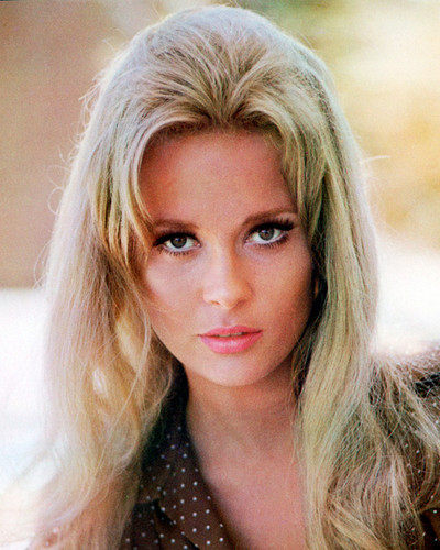 Picture of Faye Dunaway