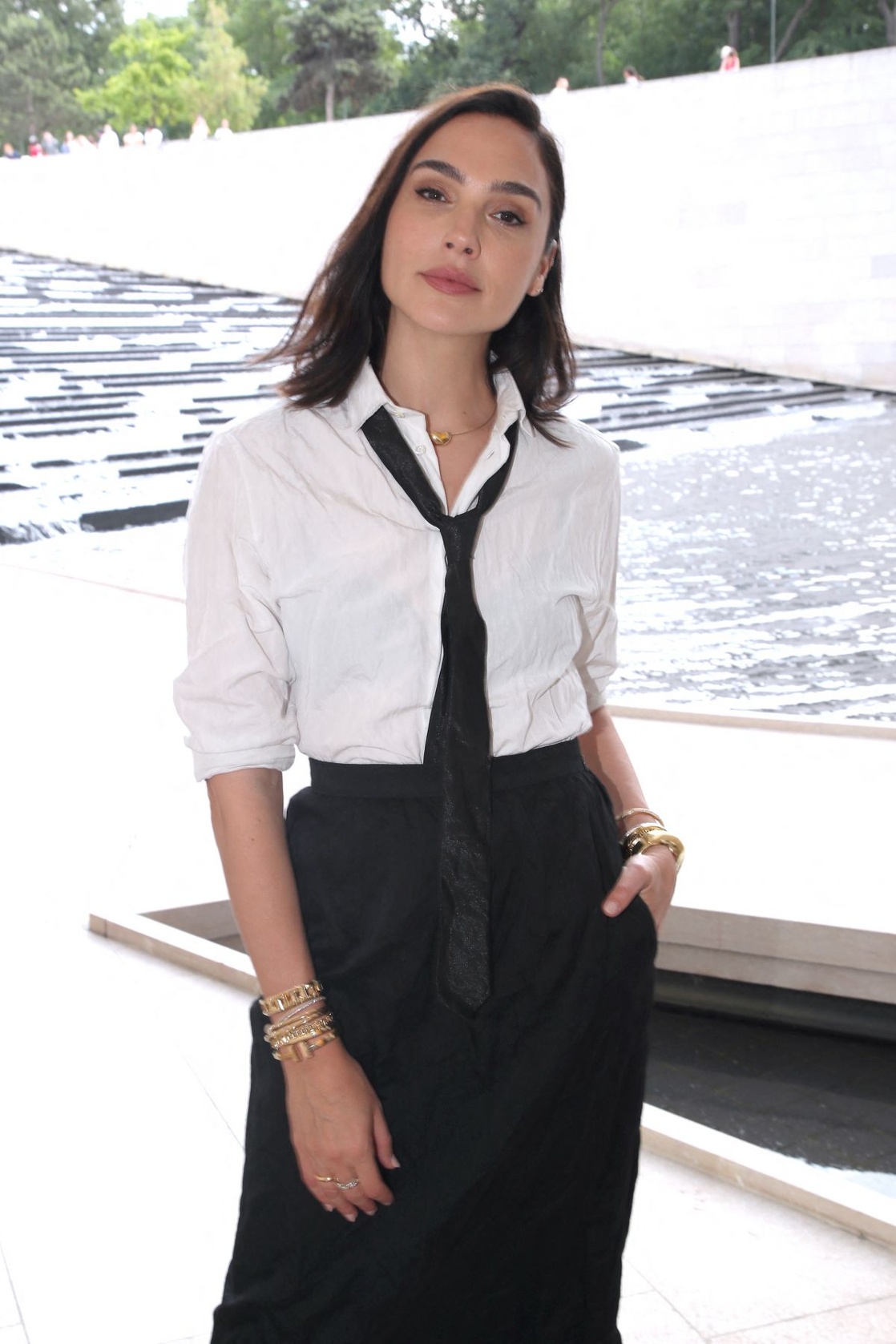 Gal Gadot picture