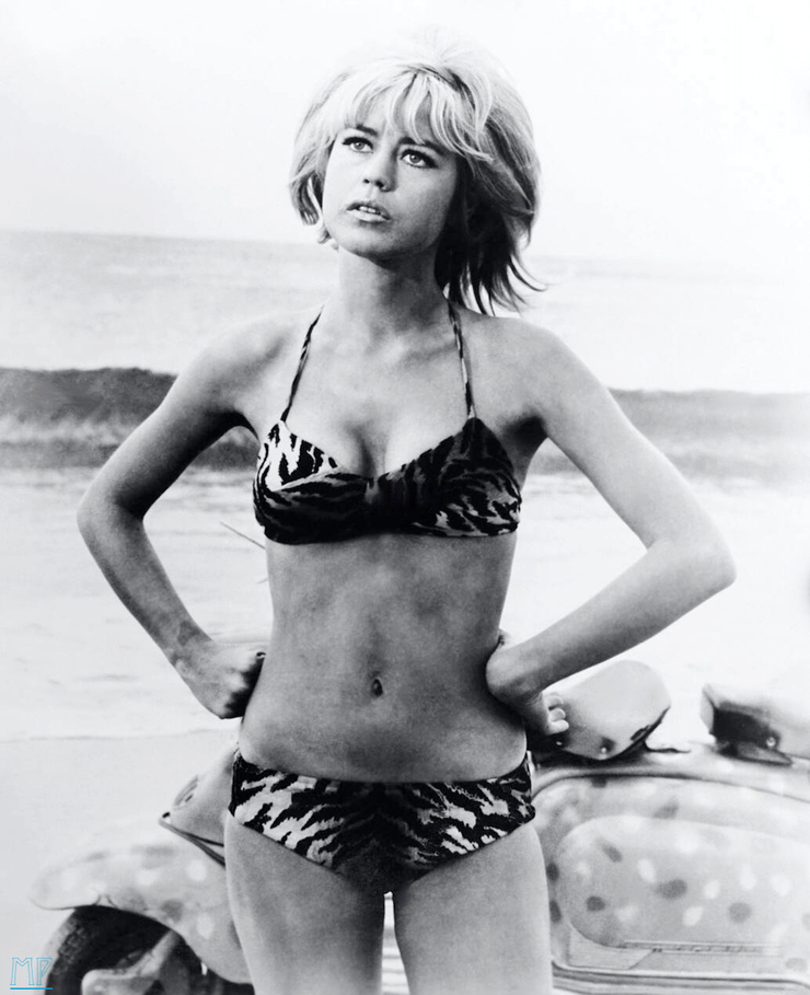 Picture of Beach Ball (1965)