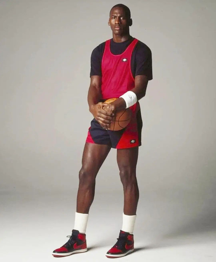 Michael Jordan picture