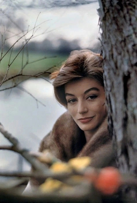 Picture of Anouk Aimée