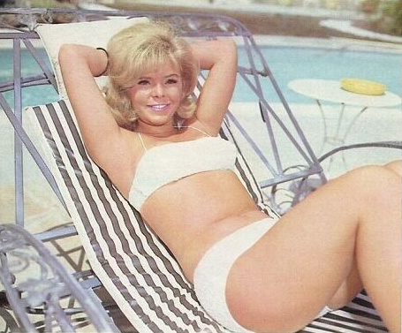 Picture of Jenny Maxwell