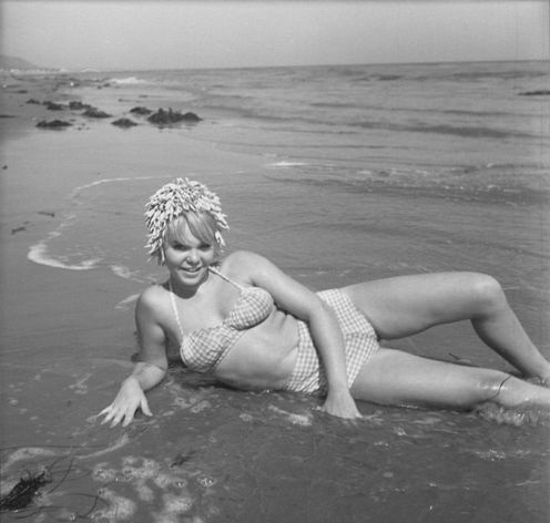 Picture of Jenny Maxwell