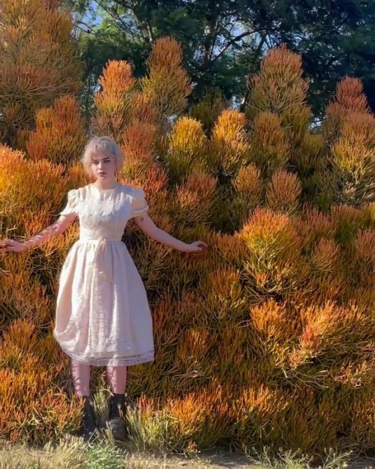 Image of Sophie Thatcher