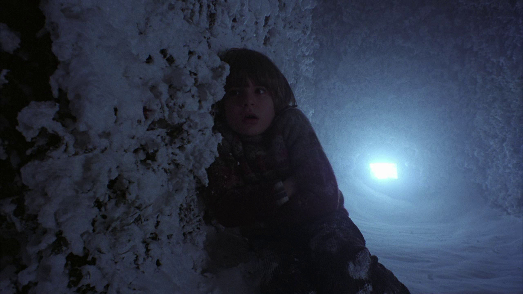 Picture of The Shining