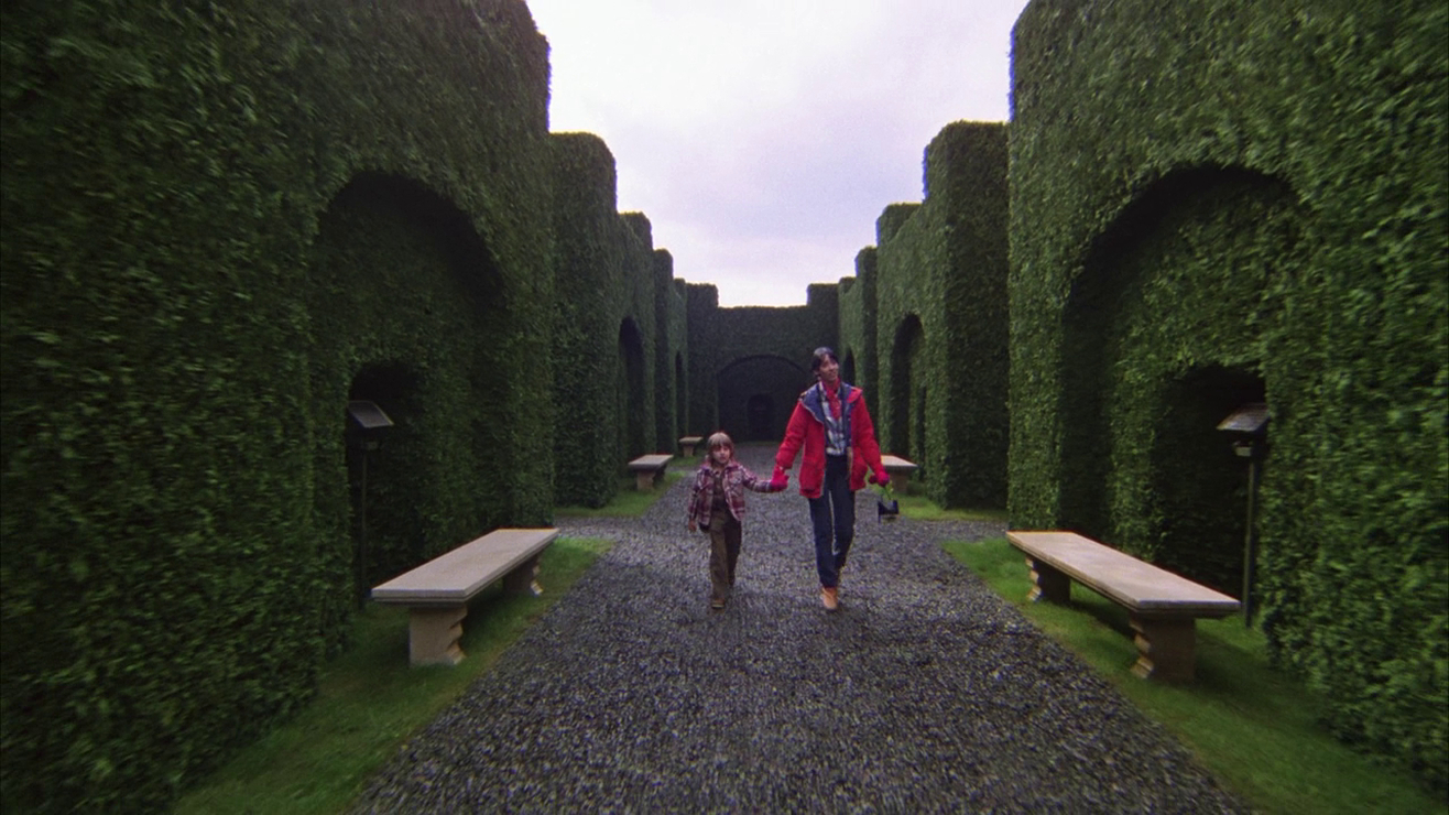 The Shining image