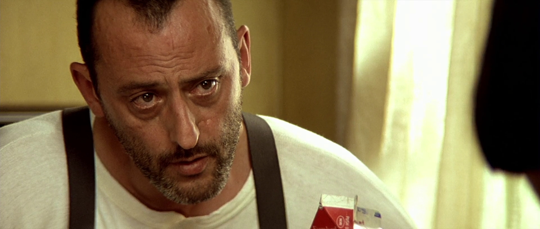 Léon: The Professional picture