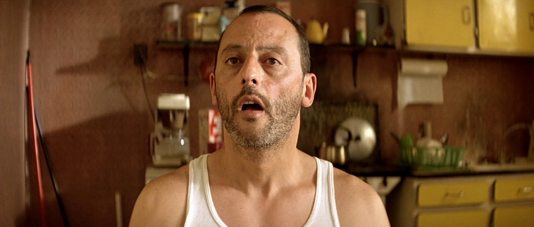 Picture of Léon: The Professional