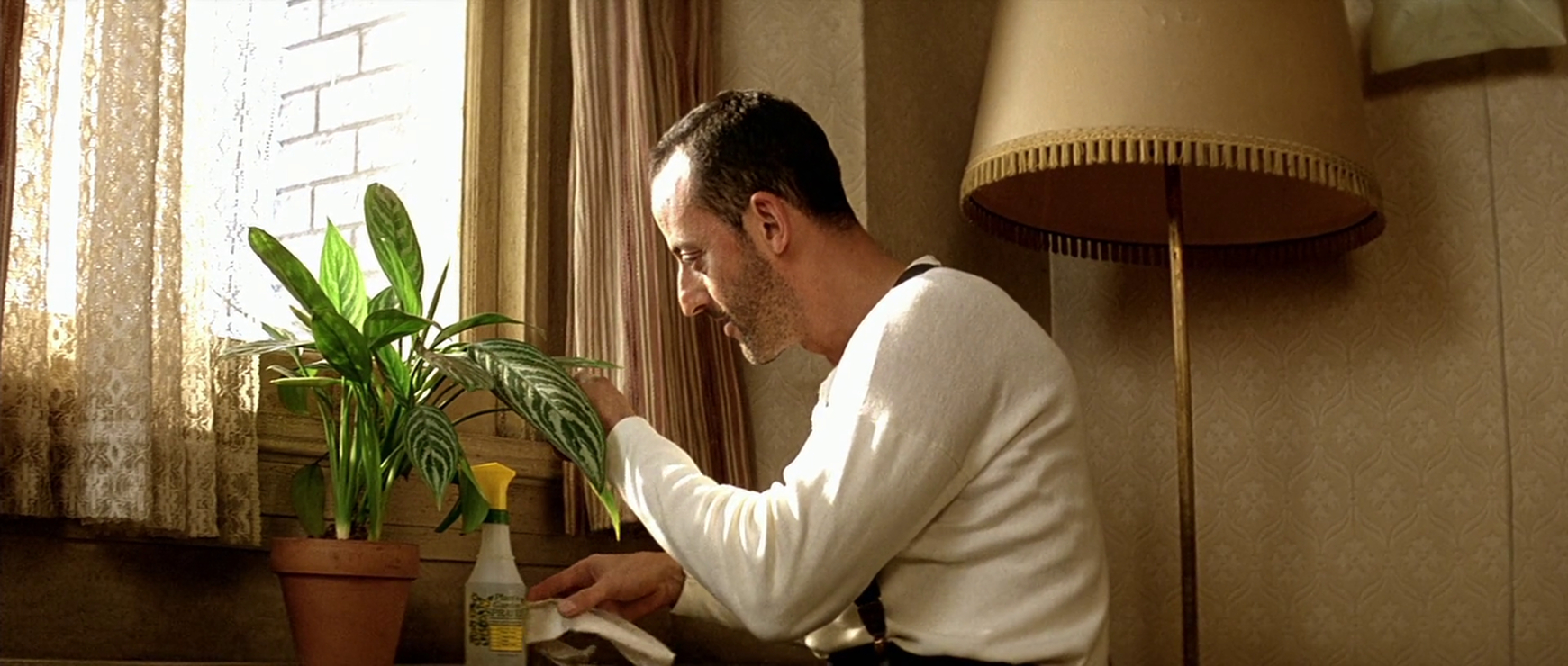 Picture of Léon: The Professional