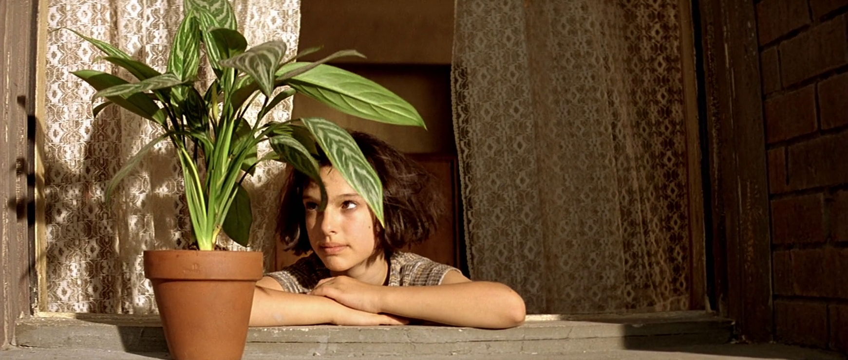 Picture of Léon: The Professional