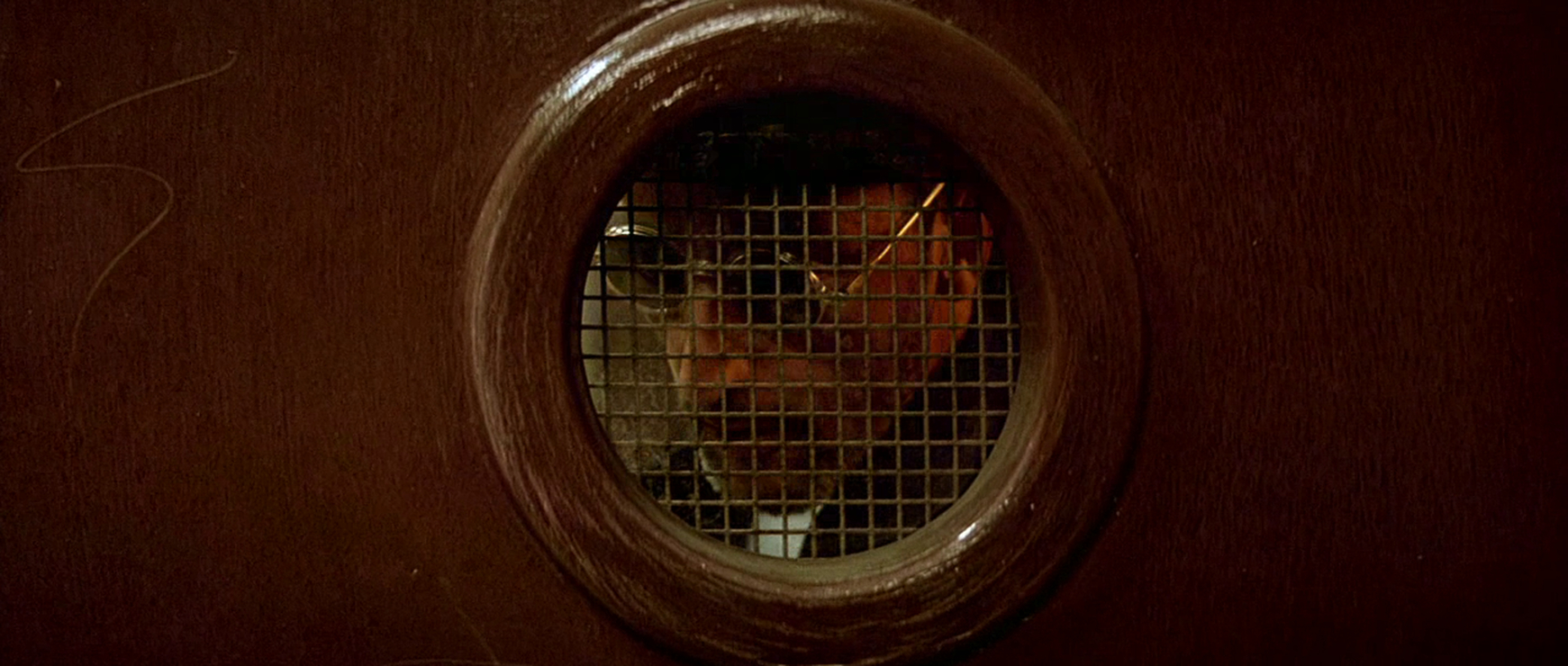 Léon: The Professional picture