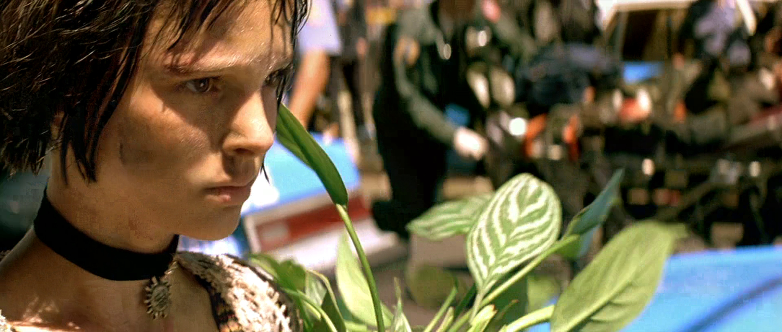 Picture of Léon: The Professional
