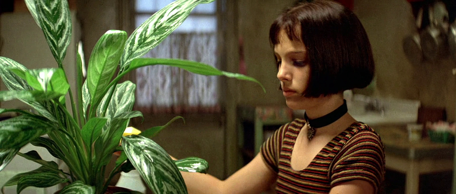 Léon: The Professional image