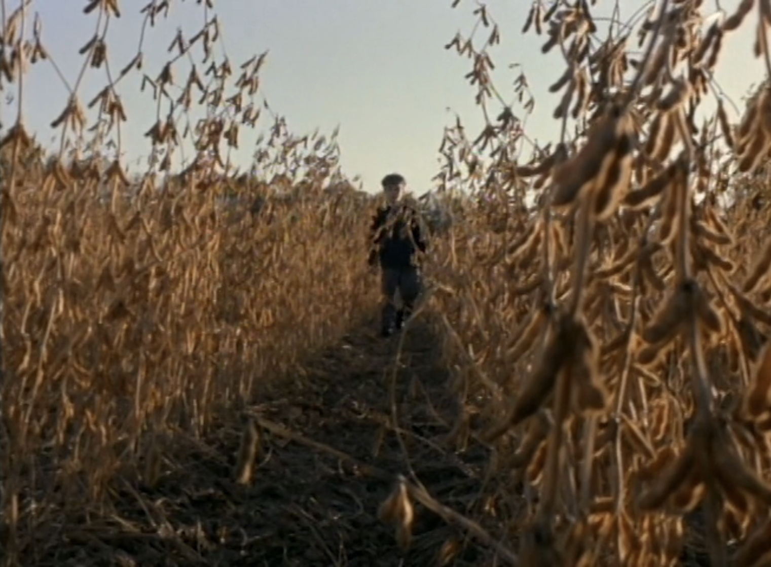 Picture of Fever Lake