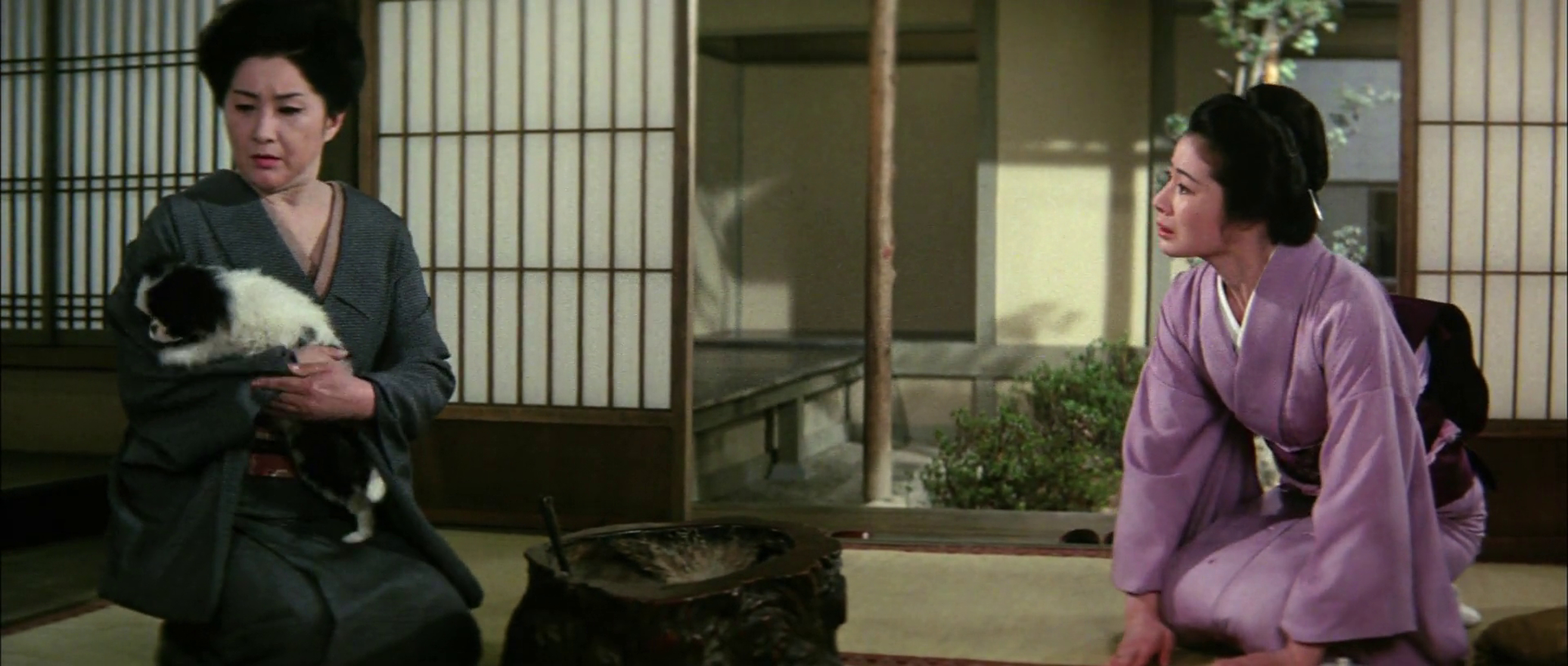 Okoma: The Orphan Gambler image